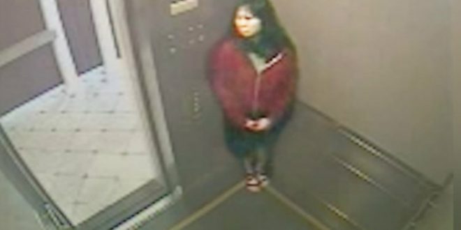 Elisa Lam's Death, the Mysterious and Most Creepiest Case