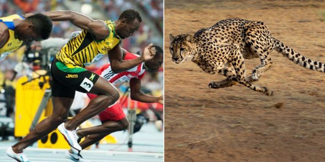 10 Ultimate Facts About Usain Bolt
